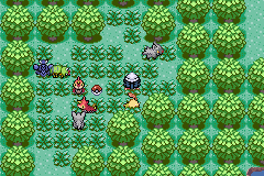 Pokemon Quetzal Alpha 0.6.4 > Game Boy Advance - 레트로팡